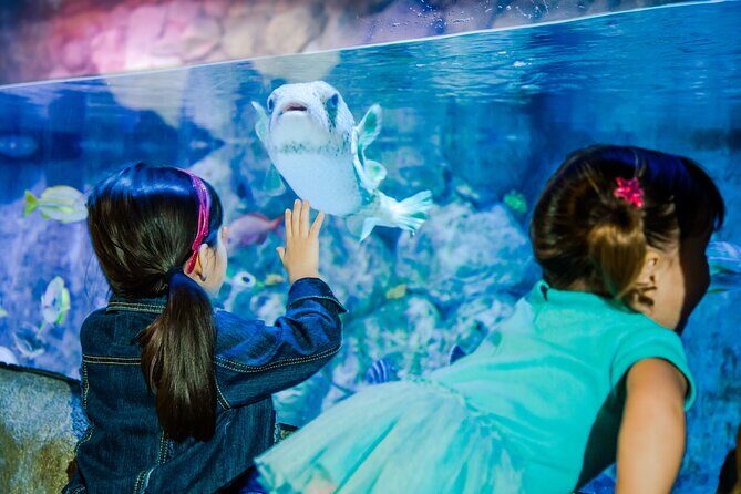 SEA LIFE San Antonio Admission Ticket - What Do Visitors Say? Real Experiences
