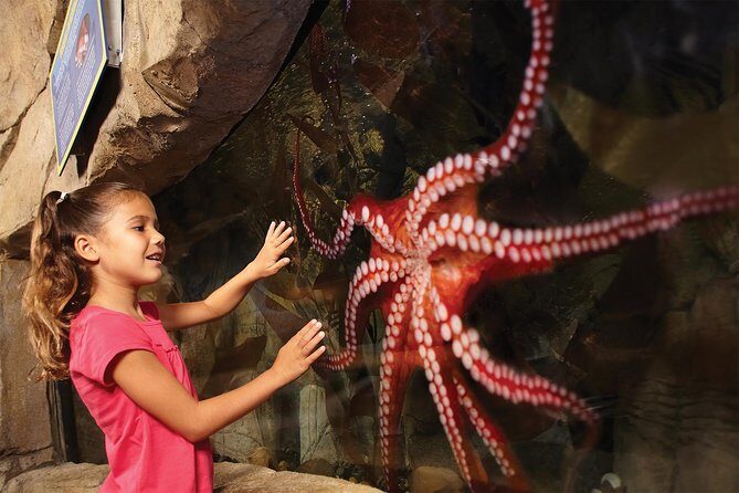 SEA LIFE San Antonio Admission Ticket - Final Thoughts: Who Will Love This?