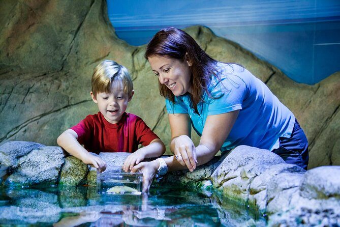 SEA LIFE San Antonio Admission Ticket - FAQs