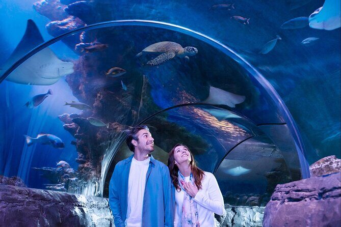 SEA LIFE San Antonio Admission Ticket - Final Verdict
