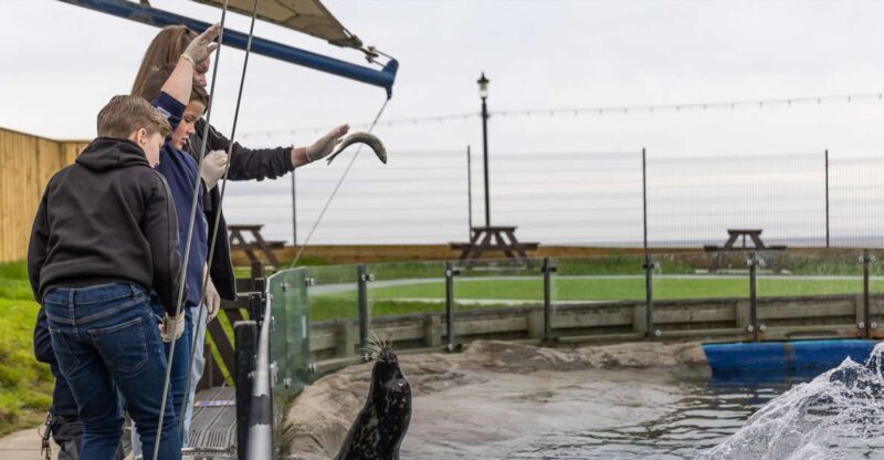 Sea Life Scarborough - An In-Depth Look at What You Can Expect
