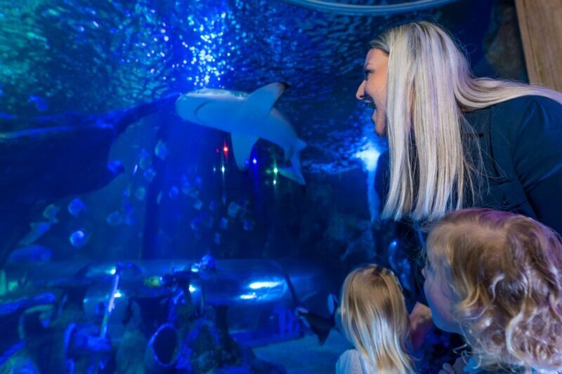 Sea Life Scarborough - Who Will Love This Experience?