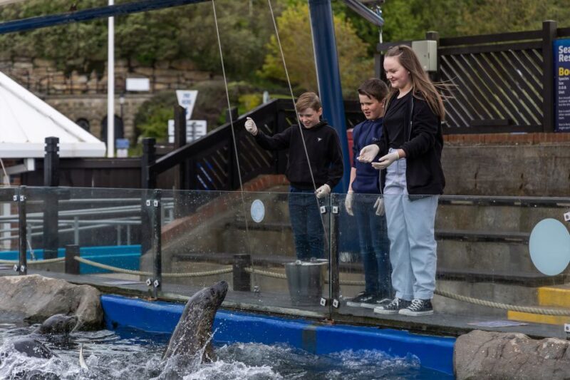 Sea Life Scarborough - FAQ