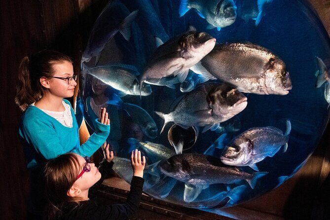 SEA LIFE Speyer Admission Ticket - What to Expect at SEA LIFE Speyer