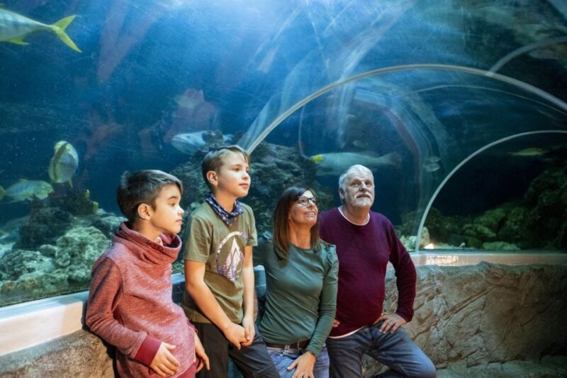 Sea Life Speyer Ticket - The Bottom Line
