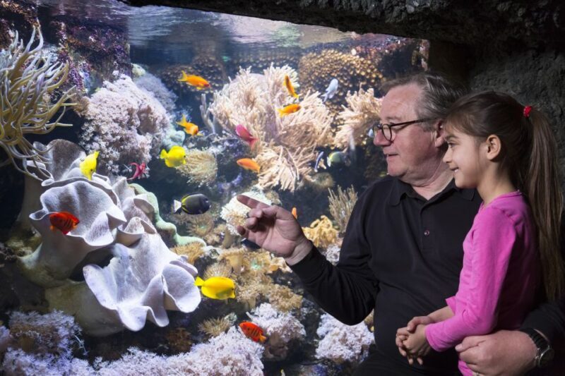 Sea Life Speyer Ticket - Who Will Love This Experience?