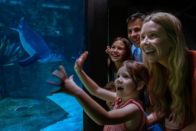 SEA LIFE Sunshine Coast Aquarium Entrance Ticket - Pricing and Value - Is It Worth It?
