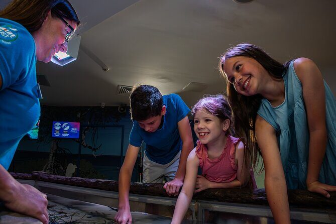 SEA LIFE Sunshine Coast Aquarium Entrance Ticket - Final Thoughts – Who Should Visit?