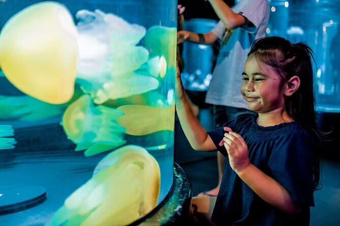 SEA LIFE Sydney Aquarium Entrance Ticket - An Insightful Look into the Aquarium Experience