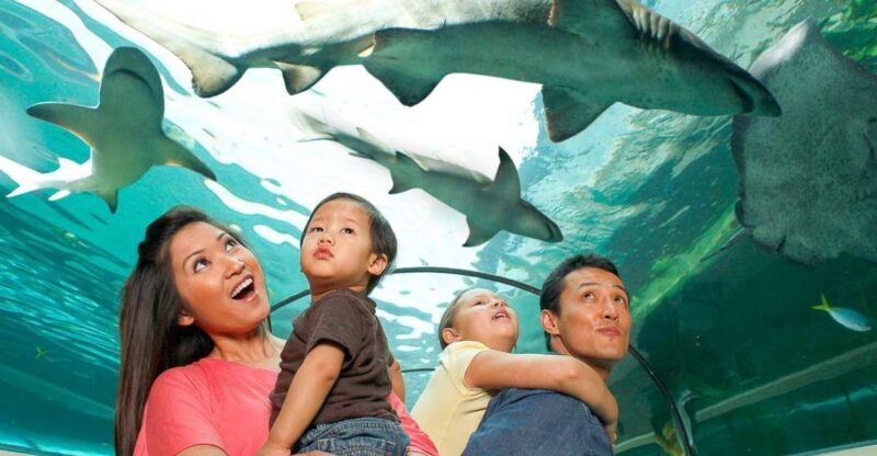 SEA LIFE Sydney Aquarium Entry Ticket - The Practical Side: Ticket Value and What’s Included