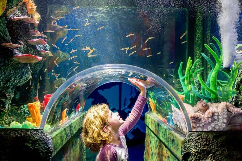 SEA LIFE Sydney Aquarium Entry Ticket - The Sum Up: Who Will Love SEA LIFE Sydney Aquarium?
