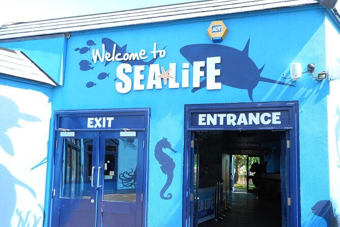 SEA LIFE Weymouth Admission Ticket - Exploring the Aquarium: A Closer Look
