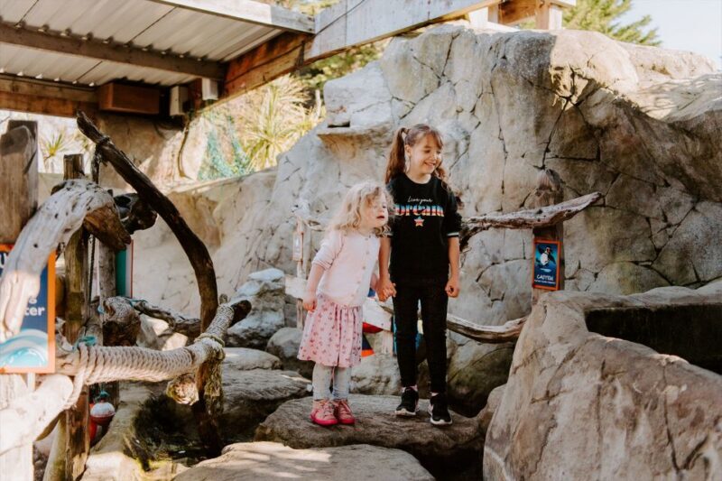 Sea Life Weymouth Admission Ticket - An In-Depth Look at What to Expect