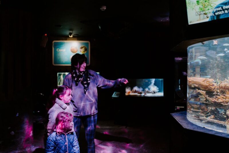 Sea Life Weymouth Admission Ticket - Who Will Love This Experience?