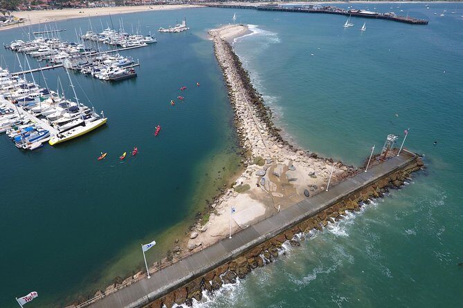 Sea Lion Kayak Tour - Santa Barbara Harbor - Why This Tour Stands Out