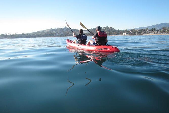 Sea Lion Kayak Tour - Santa Barbara Harbor - Practical Details and Planning Tips