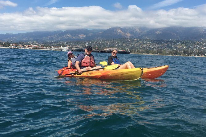 Sea Lion Kayak Tour - Santa Barbara Harbor - The Sum Up