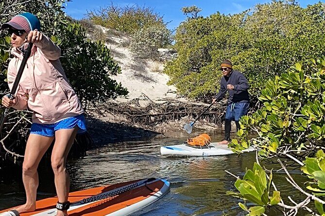 Sea Lions & Mega-Paddleboard Tour in Balandra - Who Should Consider This Tour?