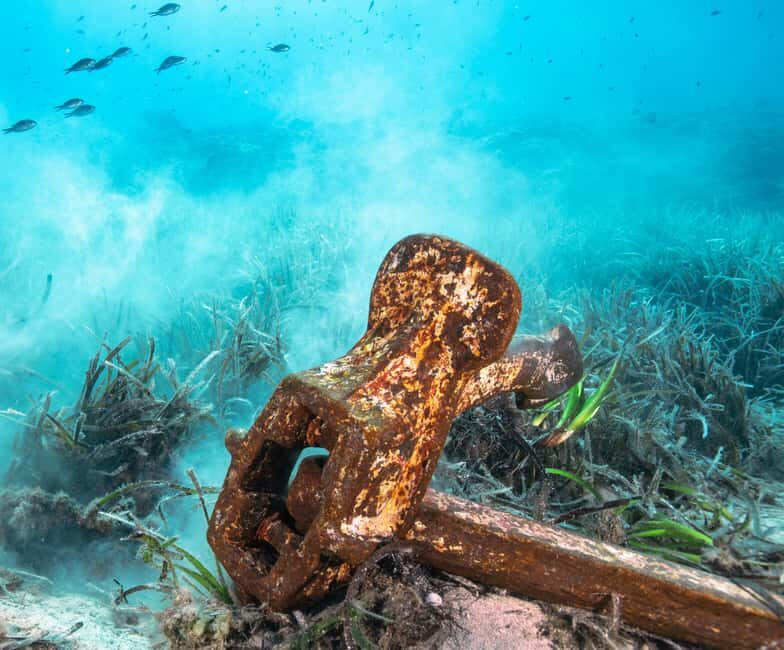 Sea-nic, Sip N Snorkel on a Semi-Submersive Seacraft - The Experience: What You Can Expect