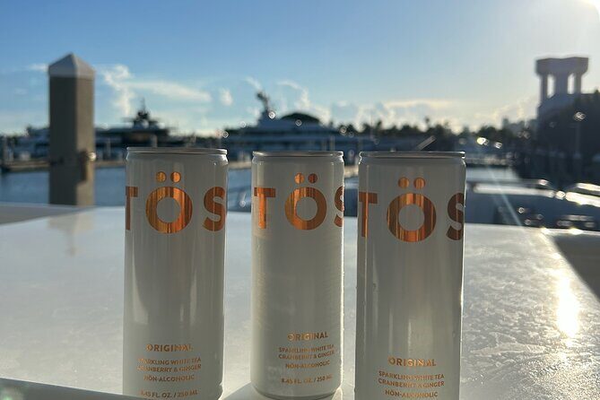 Sea Rocket 3 Hour Intracoastal and Sandbar Adventure - In-Depth Look at the Itinerary