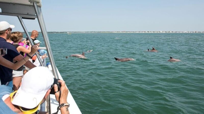 Sea Rocket Sunset & OC Harbor Cruise in Ocean City, MD - Why Choose This Cruise?