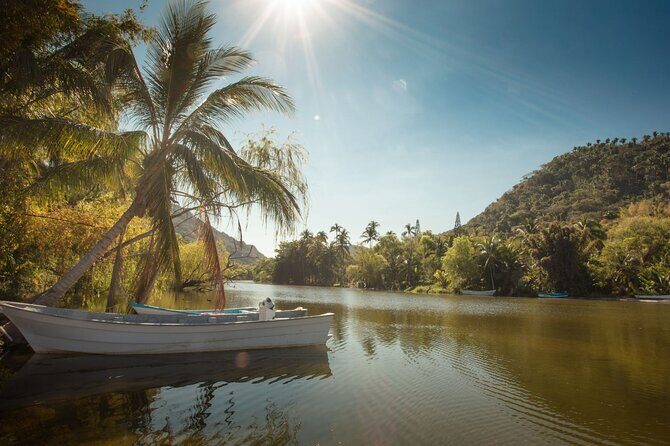Sea Safari & Beach BBQ at secluded Pizota jungle beach - What Travelers Are Saying: Authentic Feedback