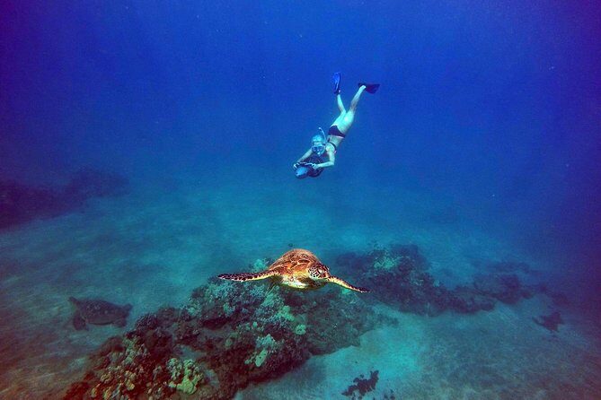Sea Scooter Snorkeling Guided Tour - Turtle Town - A Closer Look at the Tour Experience