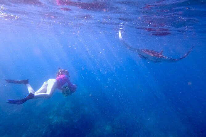Sea Scooter Snorkeling Guided Tour - Turtle Town - Who Will Love This Tour?