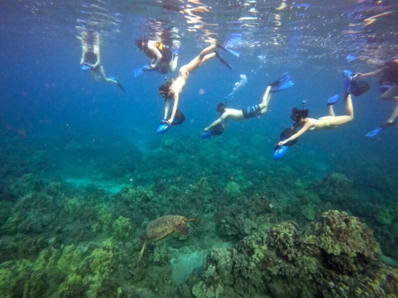 Sea Scooter Snorkeling Guided Tour - Wailea Beach - Final Thoughts: A Truly Enjoyable Underwater Adventure
