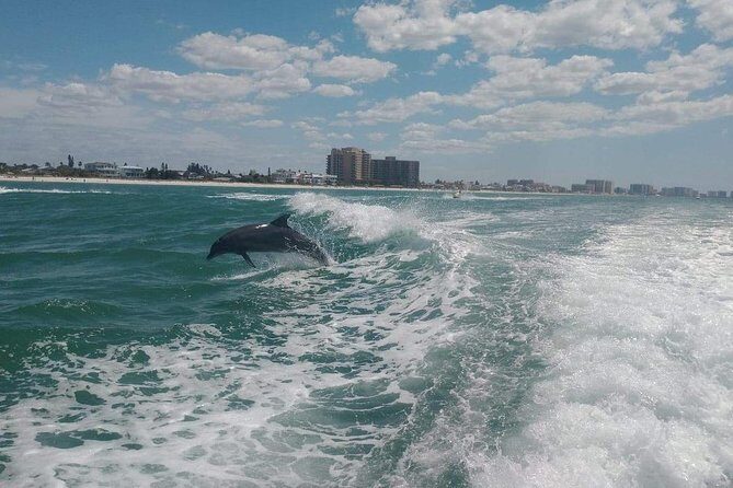 Sea Screamer Boat Cruise in Clearwater Beach with Transport - FAQ