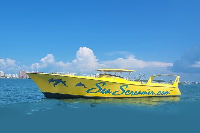 Sea Screamer Clearwater's Only Speed Boat Dolphin Watching - The Itinerary