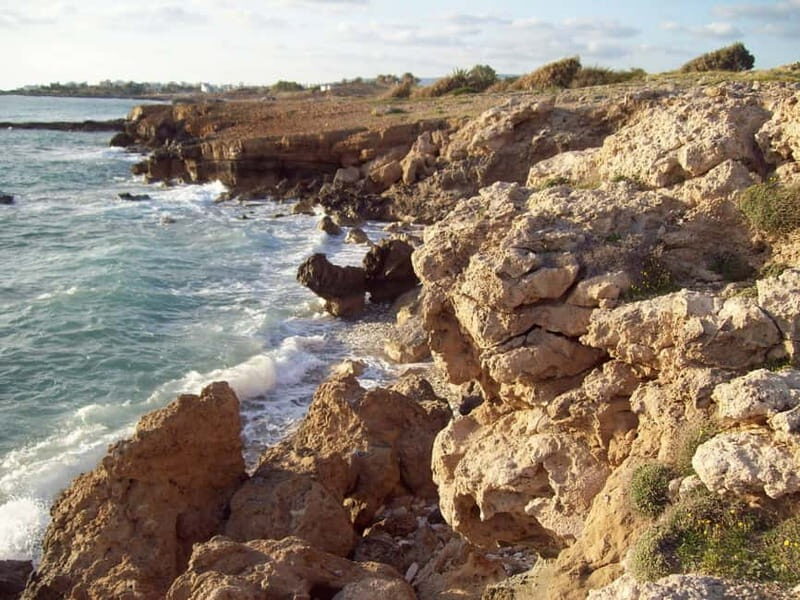 Sea Star Blue Lagoon Round Trip Cruise from Paphos - Key Points