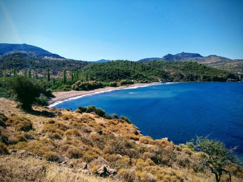 Sea, Sun and Swimming Cruise from Mytilene - What Makes This Tour Stand Out