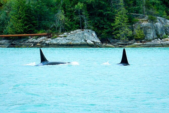 Sea to Sky Afternoon Sail - Practical Details and Tips