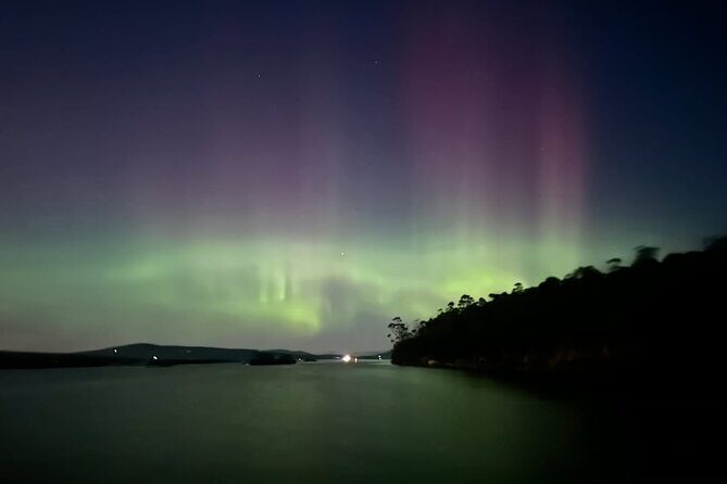 Sea to Sky Dark Sky Cruise Experience in Tasmania - Final Thoughts: Who Should Consider Booking?