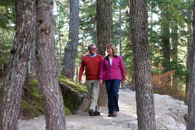 Sea to Sky Gondola Ticket - Final Thoughts: Who Is This Tour Perfect For?