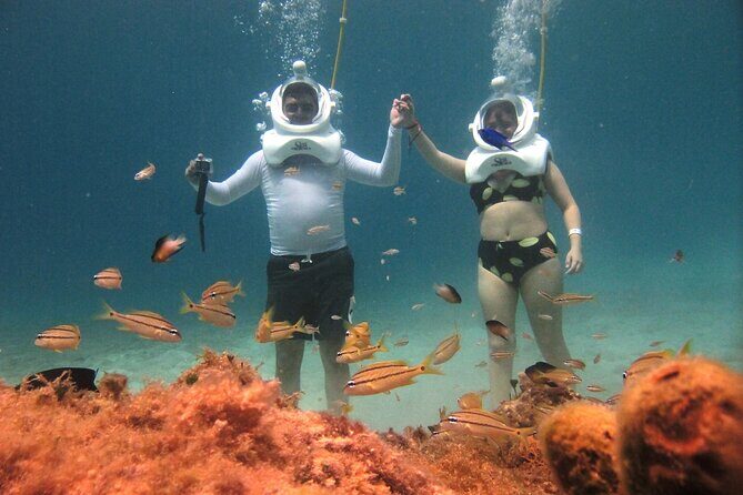 Sea Trek Adventure at Chankanaab National Park - What Is the Sea Trek Experience?