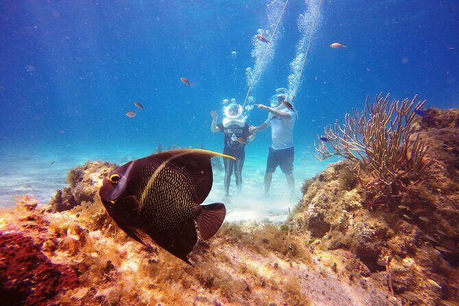 Sea Trek Adventure at Chankanaab National Park - Pricing and Value