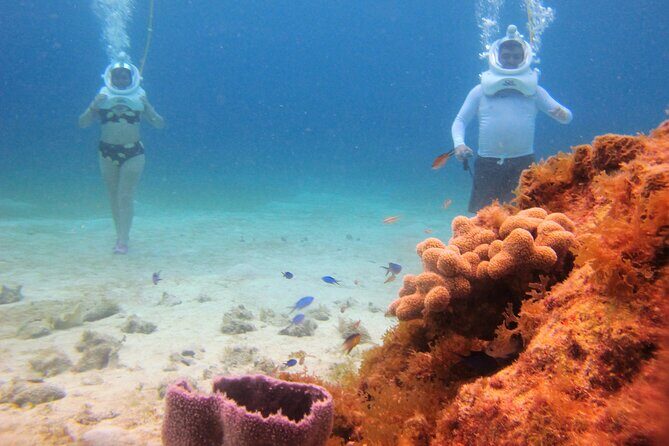 Sea Trek Adventure at Chankanaab National Park - Real Experiences from Visitors