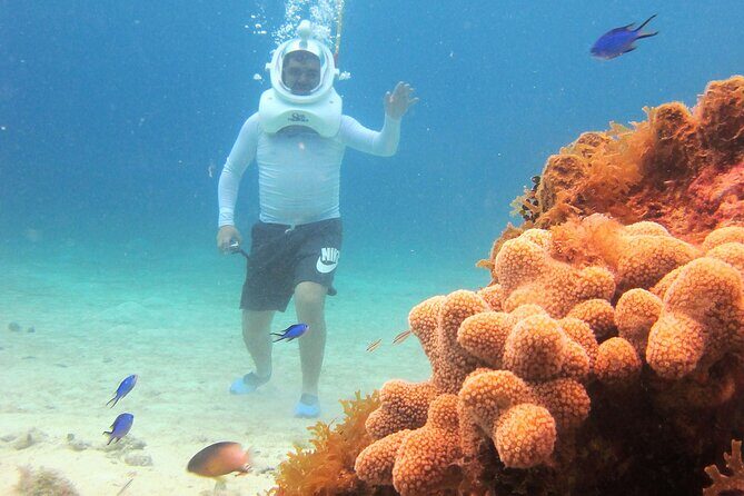 Sea Trek Adventure at Chankanaab National Park - The Sum Up