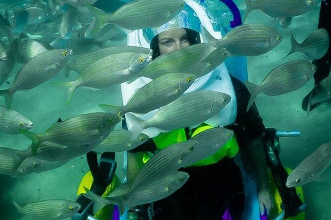 Sea Trek and Diving for handicaped people - The Sum Up