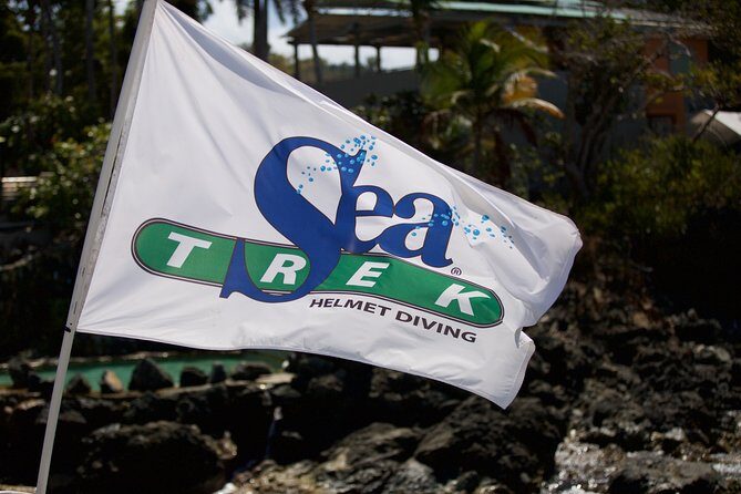 Sea Trek Helmet Dive at Coral World Ocean Park - Why You Should Consider This Tour