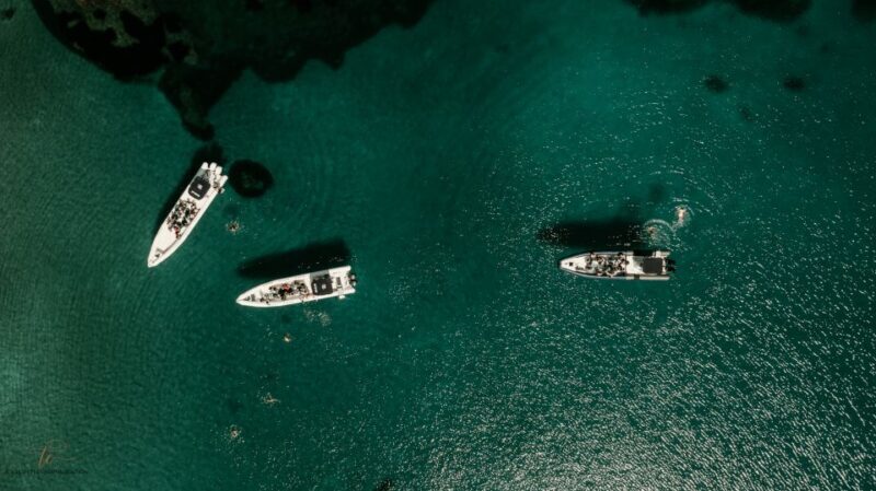 Sea trip: Ajaccio - Scandola Reserve - An In-Depth Look at the Ajaccio-Scandola Tour