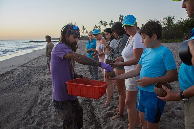 Sea Turtle Release  A Puerto Vallarta Conservation Adventure - Summary: Who Should Consider This Tour?