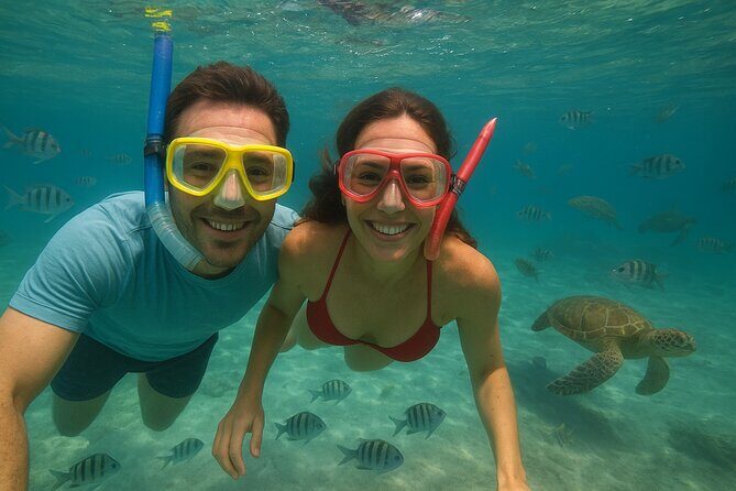 Sea Turtle Snorkel Tour - The Experience at a Glance: What to Expect