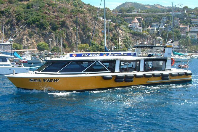 Sea View Glass Bottom Boat Excursion - Exploring the Sea View Glass Bottom Boat Excursion: A Practical Review for Curious Travelers