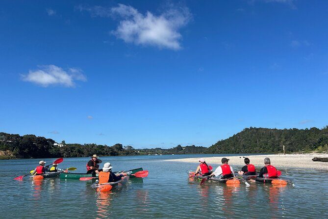 Sea Your Bottom. Clear Bottom Kayak Adventure - An In-Depth Look at the Clear Bottom Kayak Tour