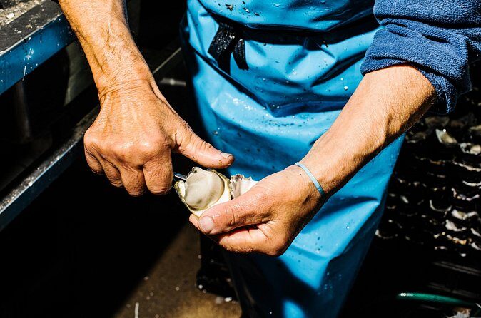 Seafood Discovery Class at Sydney Seafood School - Who Is This Tour Best For?