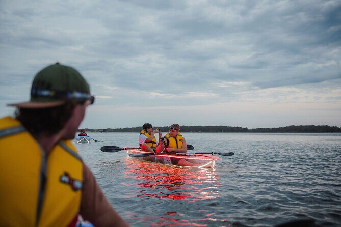Seafood Sunset Paddle Tour on Lake Macquarie - Returning Under the Night Sky
