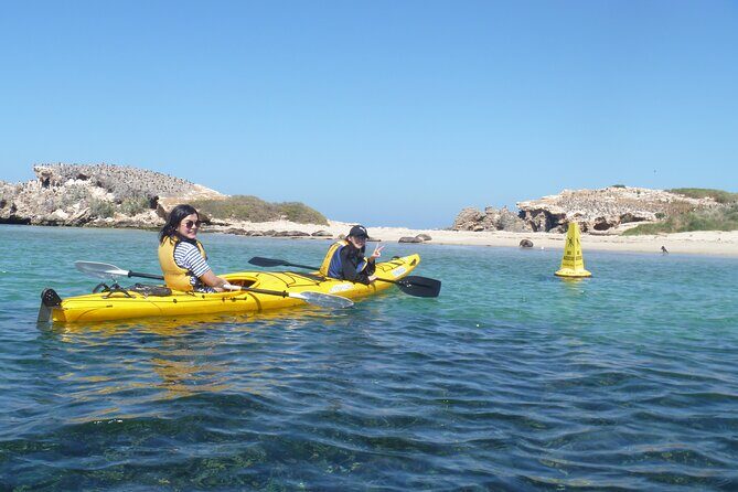 Seal Island and Penguin Island or Point Peron Sea Kayak Tour - An Introduction to the Experience